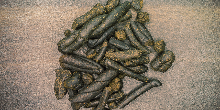An Overview Of The Most Common Types Of Hash In The World Zamnesia Blog