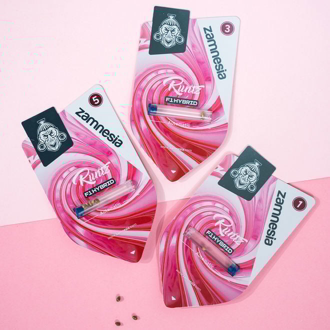 Runtz F1 Hybrid Automatic | Zamnesia Seeds