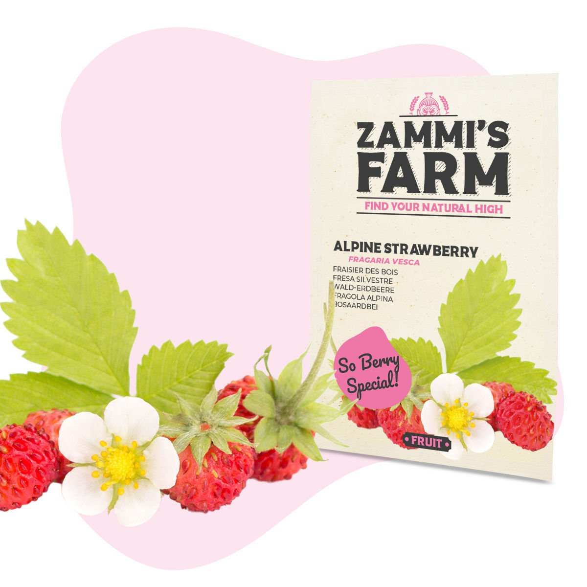 Alpine Strawberry (Fragaria vesca) Seeds - Zamnesia