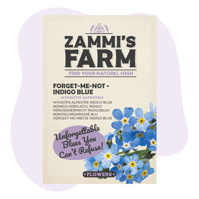 Forget-me-not (Myosotis alpestris) Indigo Blue Seeds