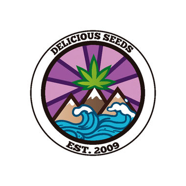 Cannabis Seeds | More than 3000 strains! - Zamnesia