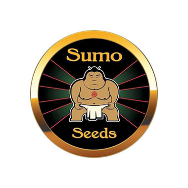 Cannabis Seeds | More than 3000 strains! - Zamnesia