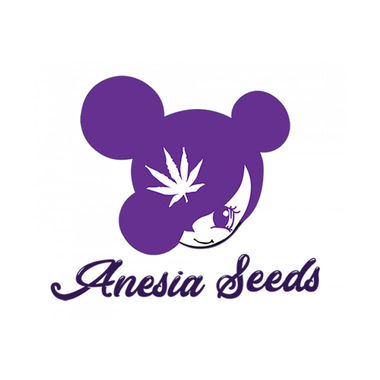 Buy Cannabis Seeds | More than 3000 strains! - Zamnesia
