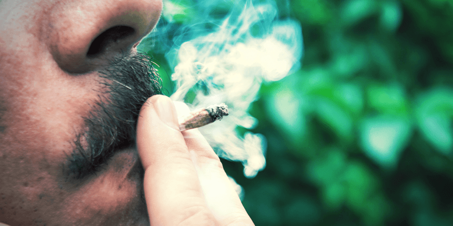 Why Is It Important To Use Joint Filters? - Zamnesia Blog