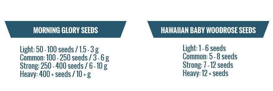 Zamnesia's Guide To Extracting LSA from LSA Seeds In A Simple Way ...