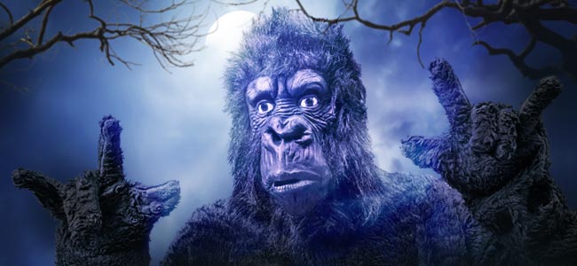 The Best Halloween Cannabis Strains And Activities for Stoners ...