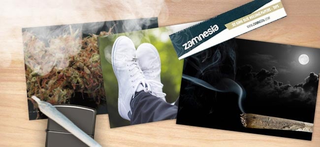 Smoke Report: Sticky Beast Automatic By Zamnesia Seeds - Zamnesia Blog