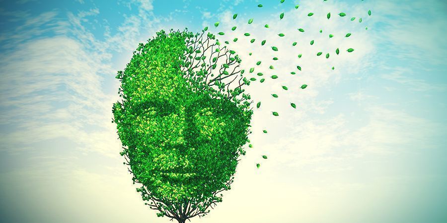 Everything You Need To Know About Ego Death - Zamnesia