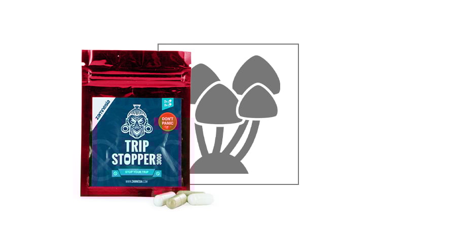 How Long Does A Psychedelic Trip Last + How To Sober Up Fast - Zamnesia ...