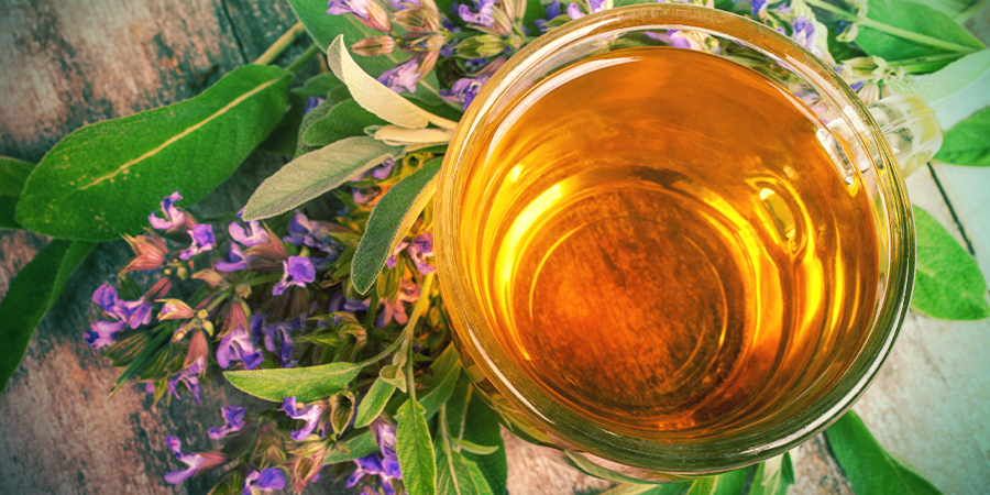 How And Why To Make Salvia Divinorum Tea - Zamnesia Blog