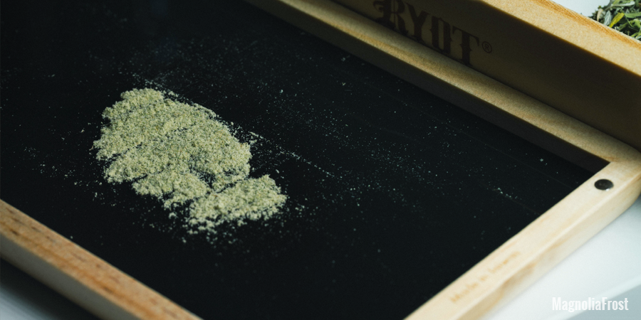 How To Make Dry Sift Hash | Step-By-Step Guide - Zamnesia Blog