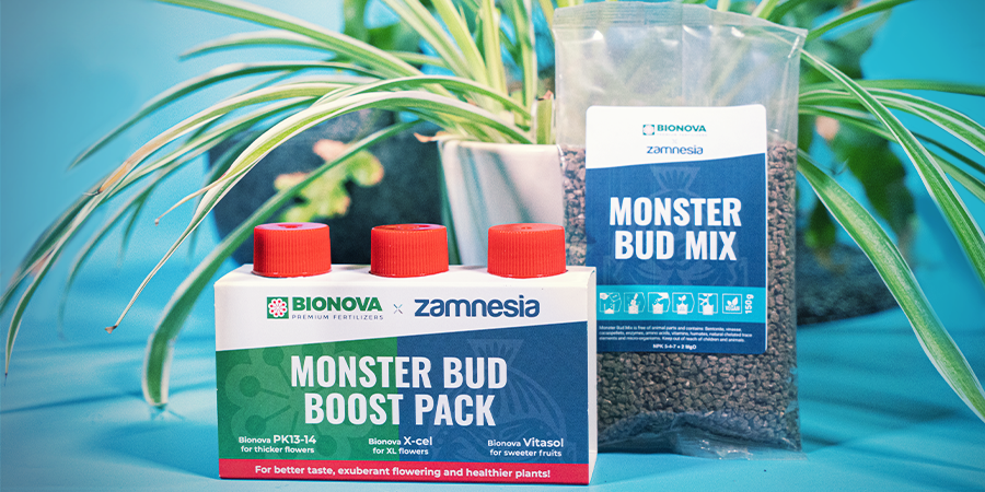 Use Monster Bud Boost Pack to Grow Fruitier Cannabis Buds - Zamnesia Blog