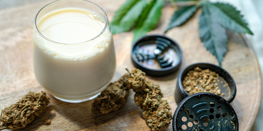 How to make cannabis milk - Zamnesia