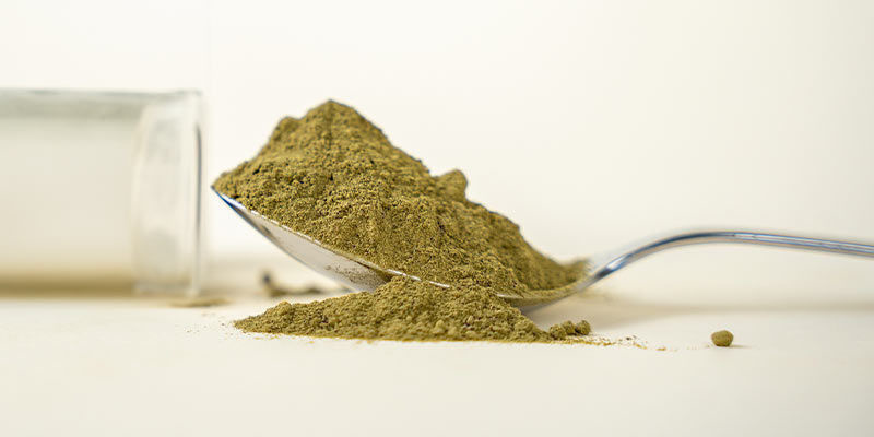 Everything You Need To Know About Kratom - Zamnesia