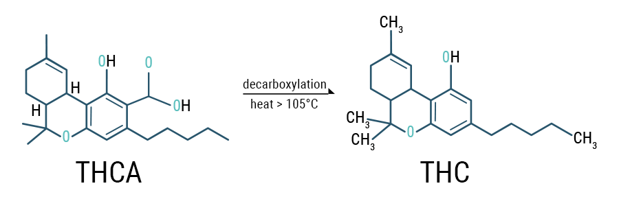 The Best Ways To Decarboxylate Your Cannabis - Zamnesia Blog