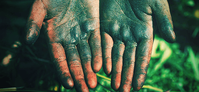 How To Make Hash - Zamnesia Blog