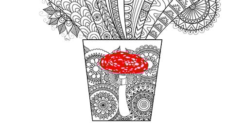 Soma: The Ancient Entheogen - Zamnesia Blog