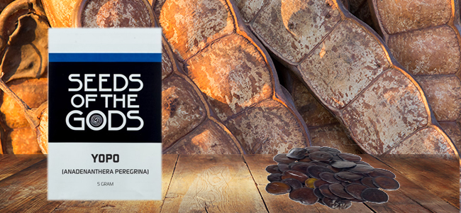 10 (Legal) Drugs That Will Induce a Psychedelic Trip - Zamnesia Blog