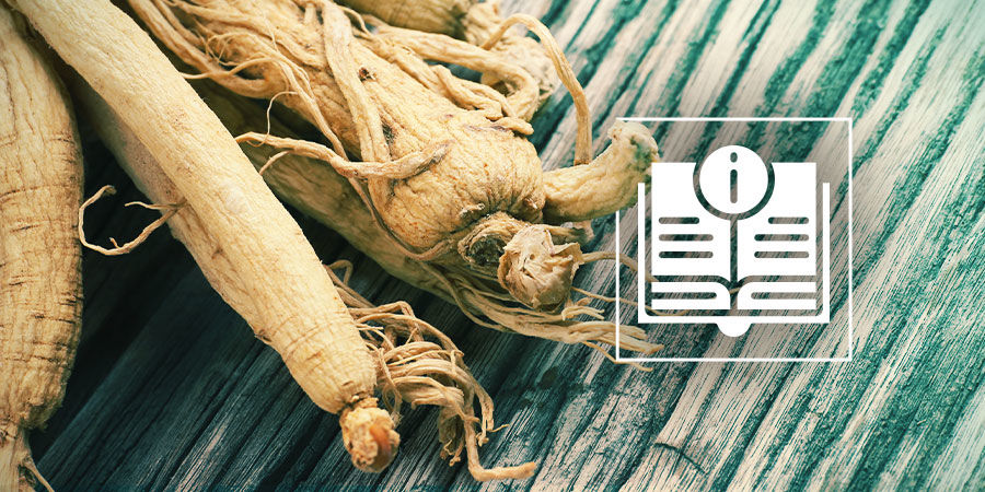 Ginseng: Everything You Need To Know - Zamnesia