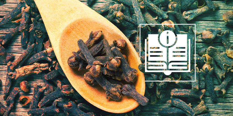 Clavo Huasca: Everything You Need To Know - Zamnesia