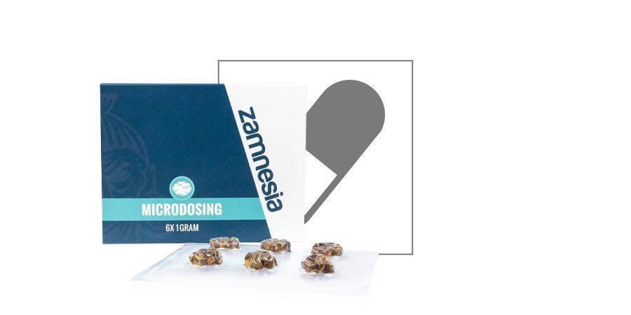 Microdosing Psychedelics And Cannabis - Zamnesia