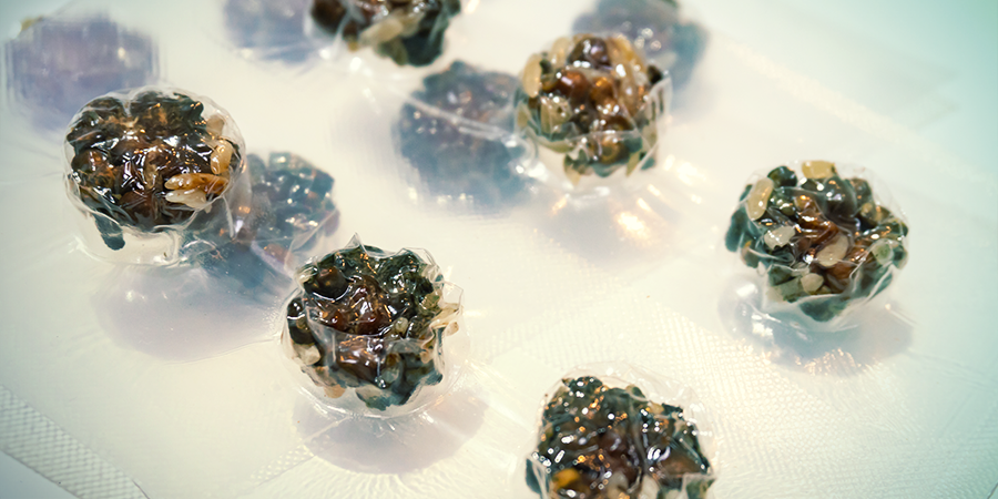 Microdosing With Zamnesia - Zamnesia