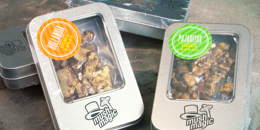 Microdosing With Zamnesia - Zamnesia