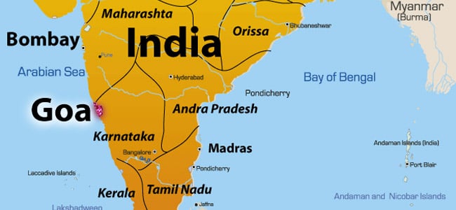 What Is Goa? - Zamnesia Blog