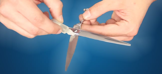 How To Keep Your Trimming Scissors Clean - Zamnesia Blog
