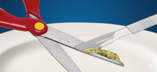 How To Keep Your Trimming Scissors Clean - Zamnesia Blog