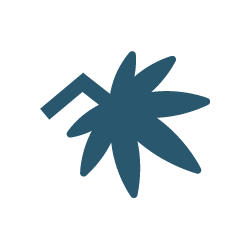 How To Grow Cannabis - How to grow weed