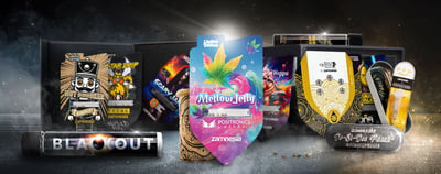 Watermelon Candy | Zamnesia Seeds