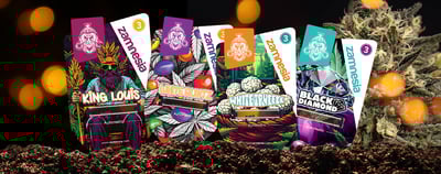 Buy LA Kush Cake Auto | 23% Potency & Creamy Vanilla Terps