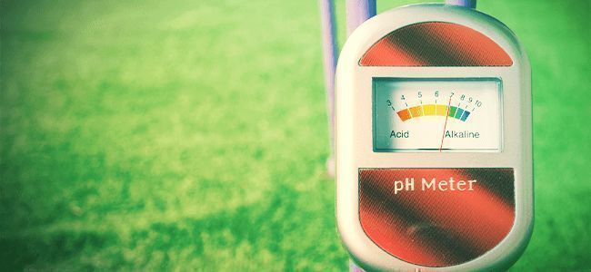 Simple Tips To Grow Better Weed - Zamnesia USA