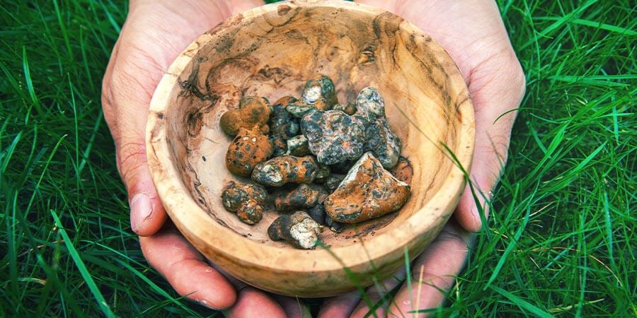 Microdosing Psychedelics And Cannabis - Zamnesia USA