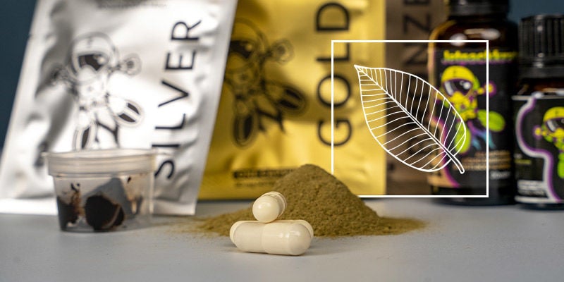The Different Types Of Kratom Explained - Zamnesia USA