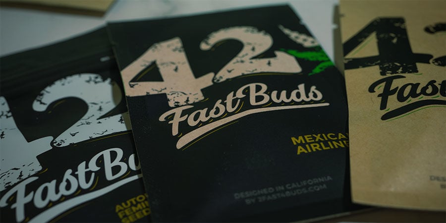 Buy Fast Buds Seeds - Zamnesia USA