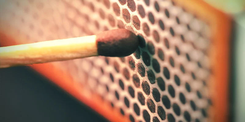 How To Germinate Cannabis Seeds - How to grow weed - Zamnesia USA