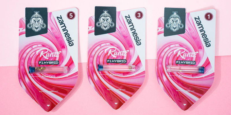 Runtz F1 Hybrid Automatic | Zamnesia Seeds - Zamnesia USA